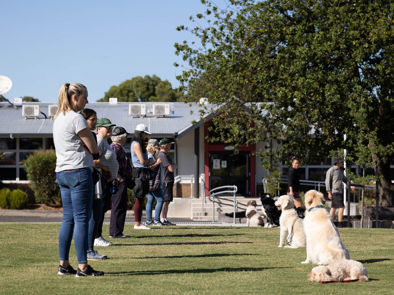 About – Dog Trainer School