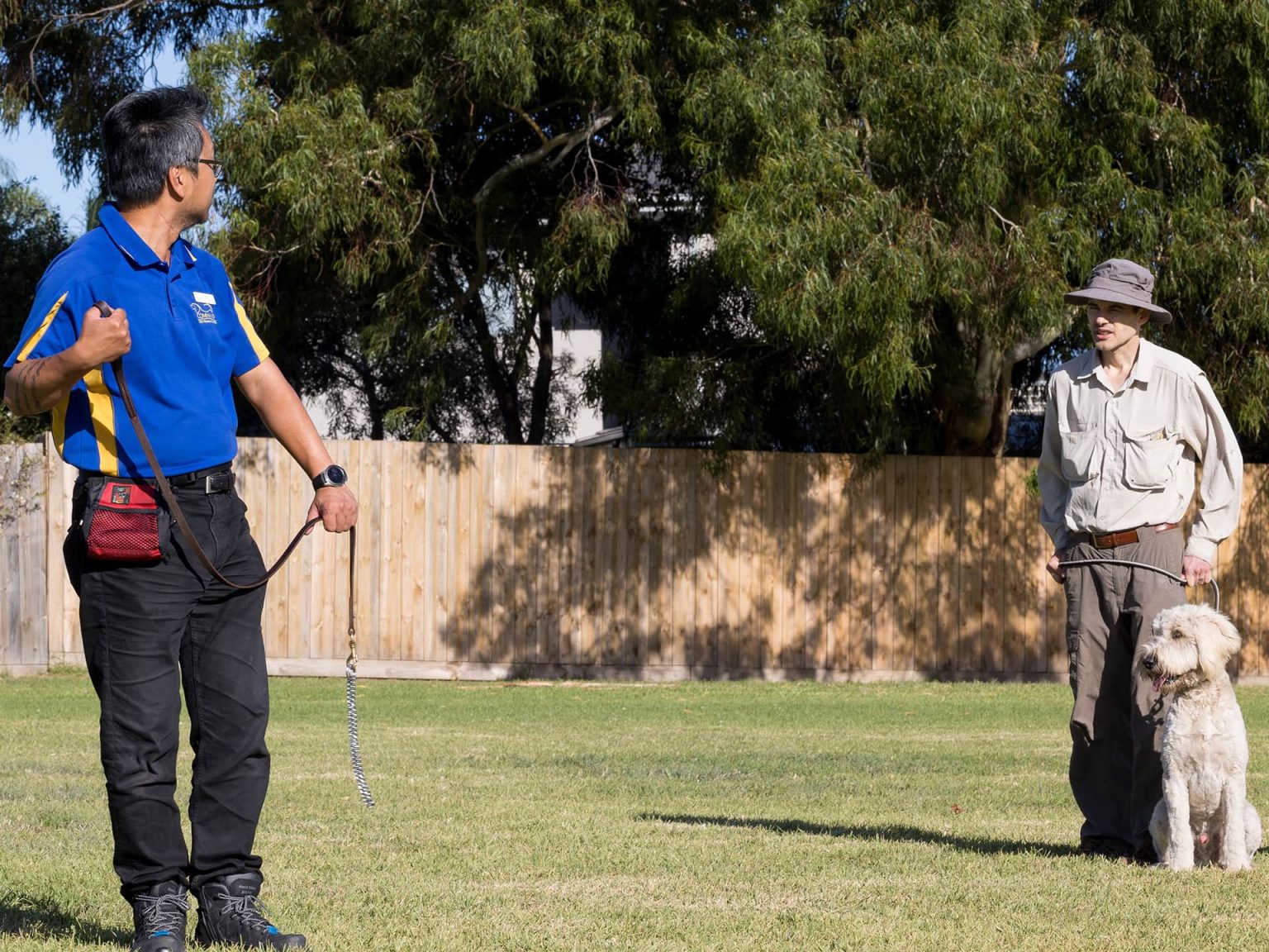 About – Dog Trainer School