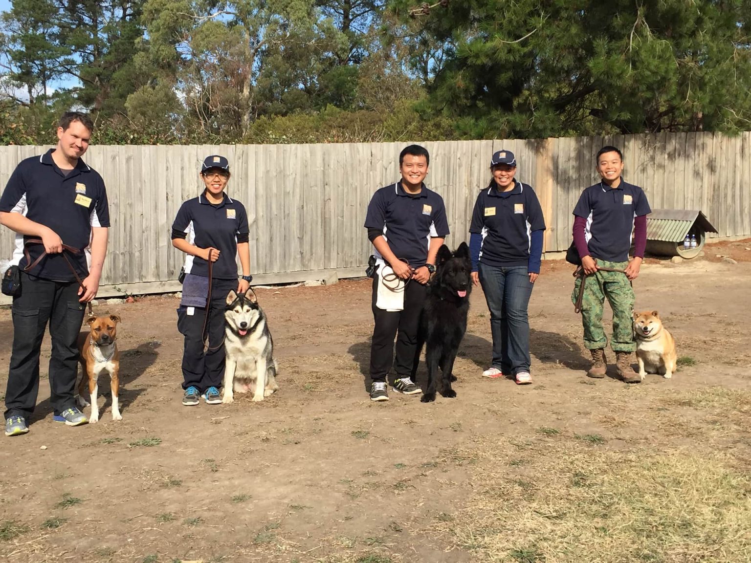 Dog Trainer School – Australia's Foremost Educator to The Dog Training ...